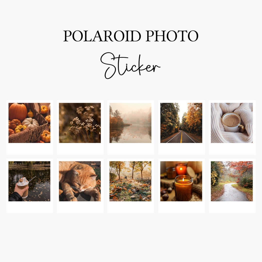 10 Autumn Polaroid Photo Stickers, Holiday Stickers, Bullet Journal ...