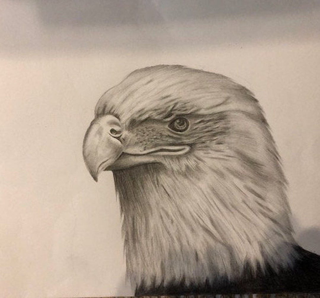 Realistic Drawing of an Eagle - Etsy