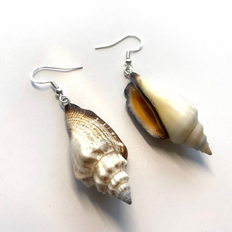 Seashell Earrings - Etsy