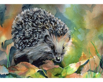 Hedgehog Print A4 Size Wildlife Print Painting Wall Art Nature Hedgepig ...