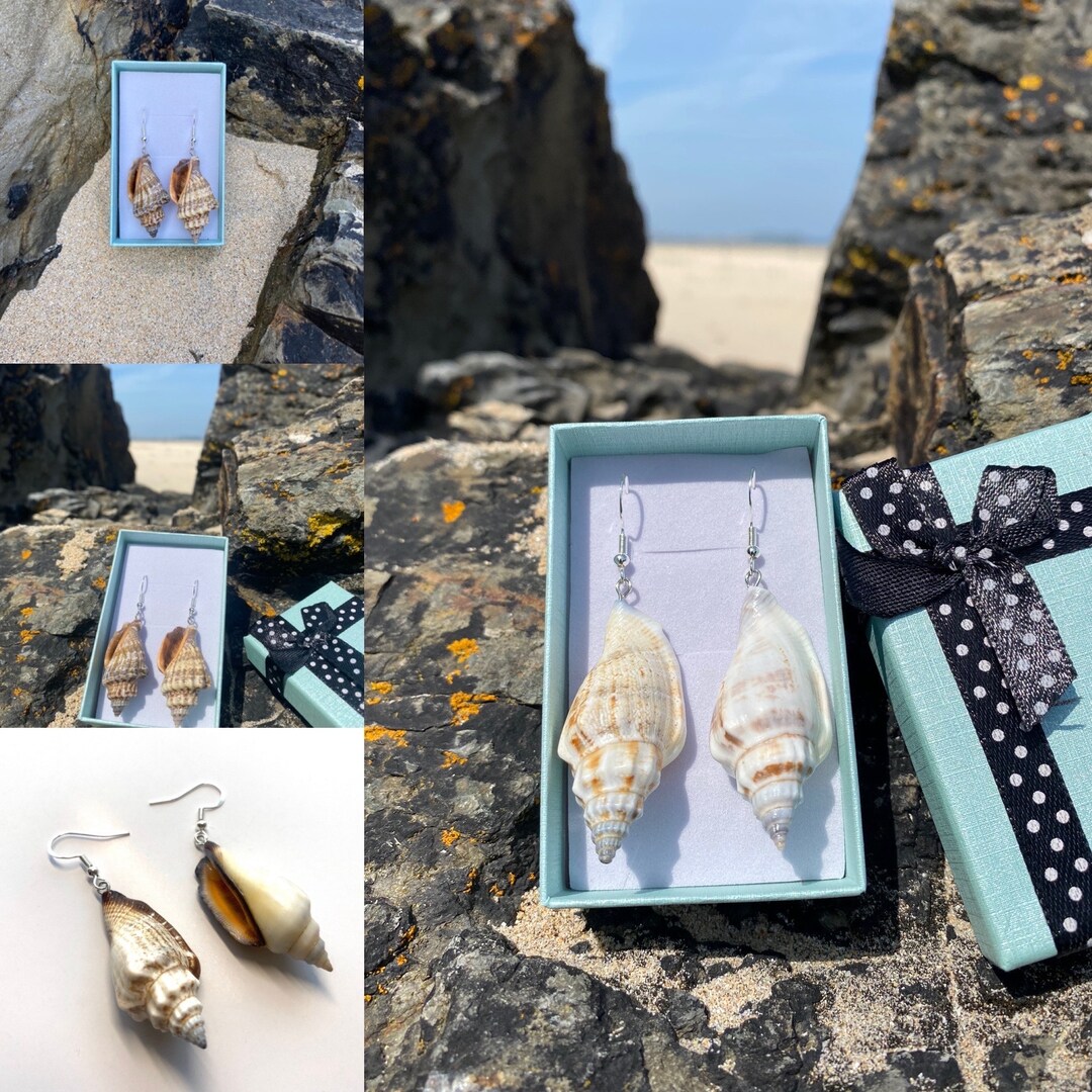 Seashell Earrings, St Ives, Cornwall, Nature Lover Gift, Gift for Her ...