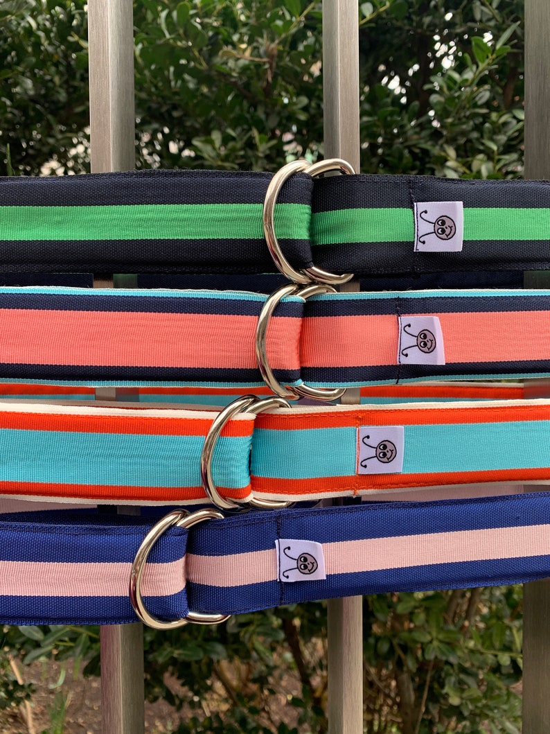 BBNYC - Salome Belt - Etsy