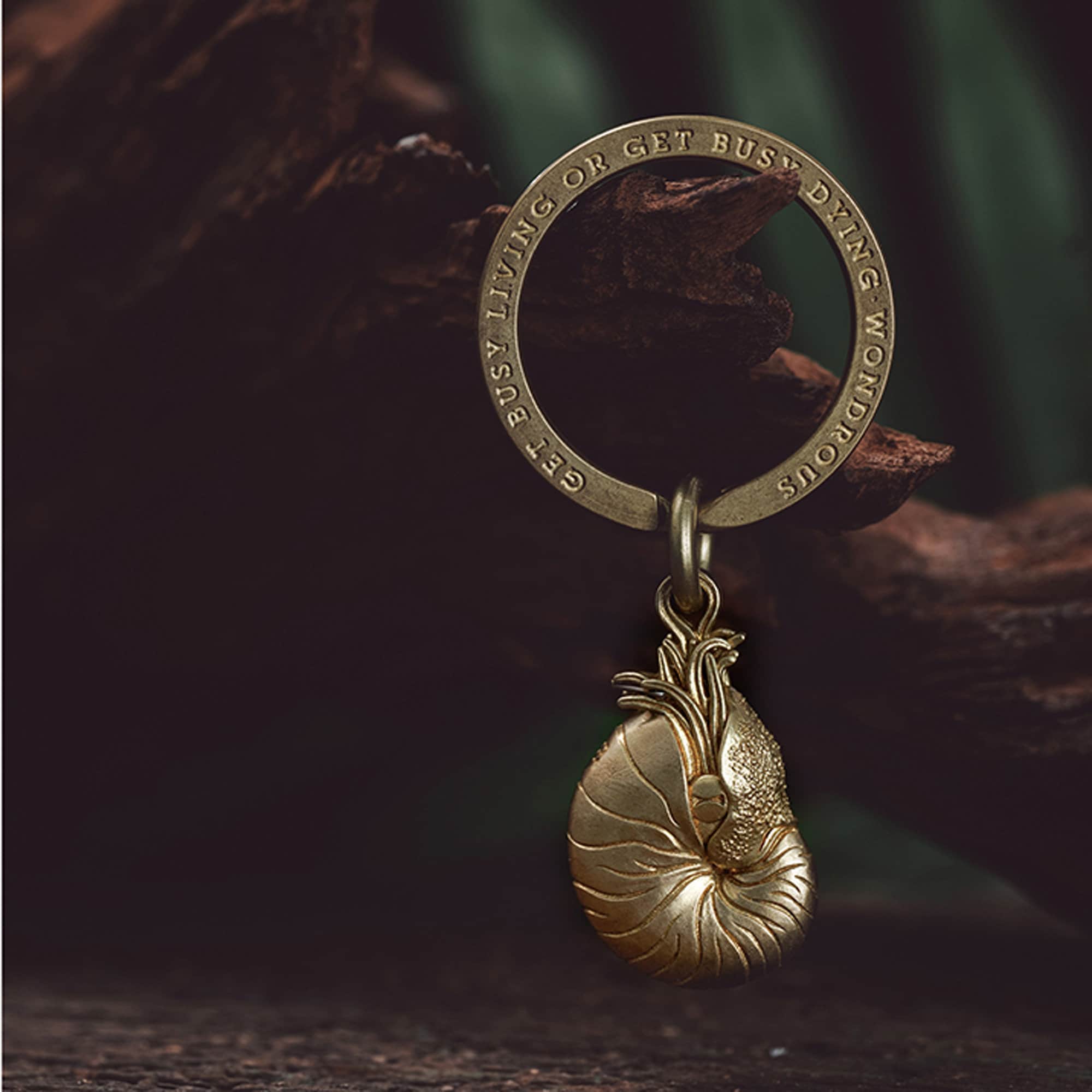 Nautilus Key Chain Solid Brass Key Ring EDC Charm Gothic and - Etsy