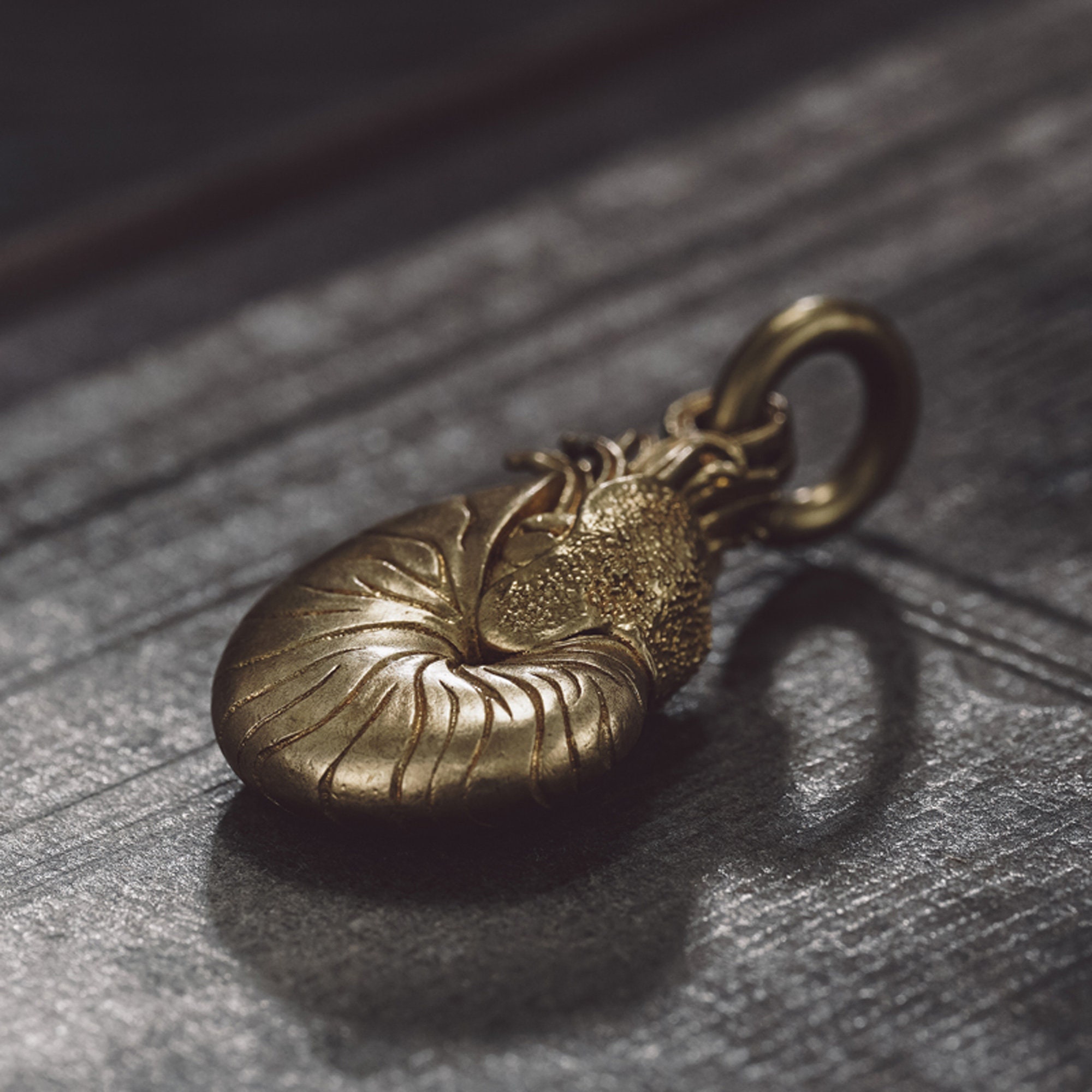 Nautilus Key Chain Solid Brass Key Ring EDC Charm Gothic and - Etsy