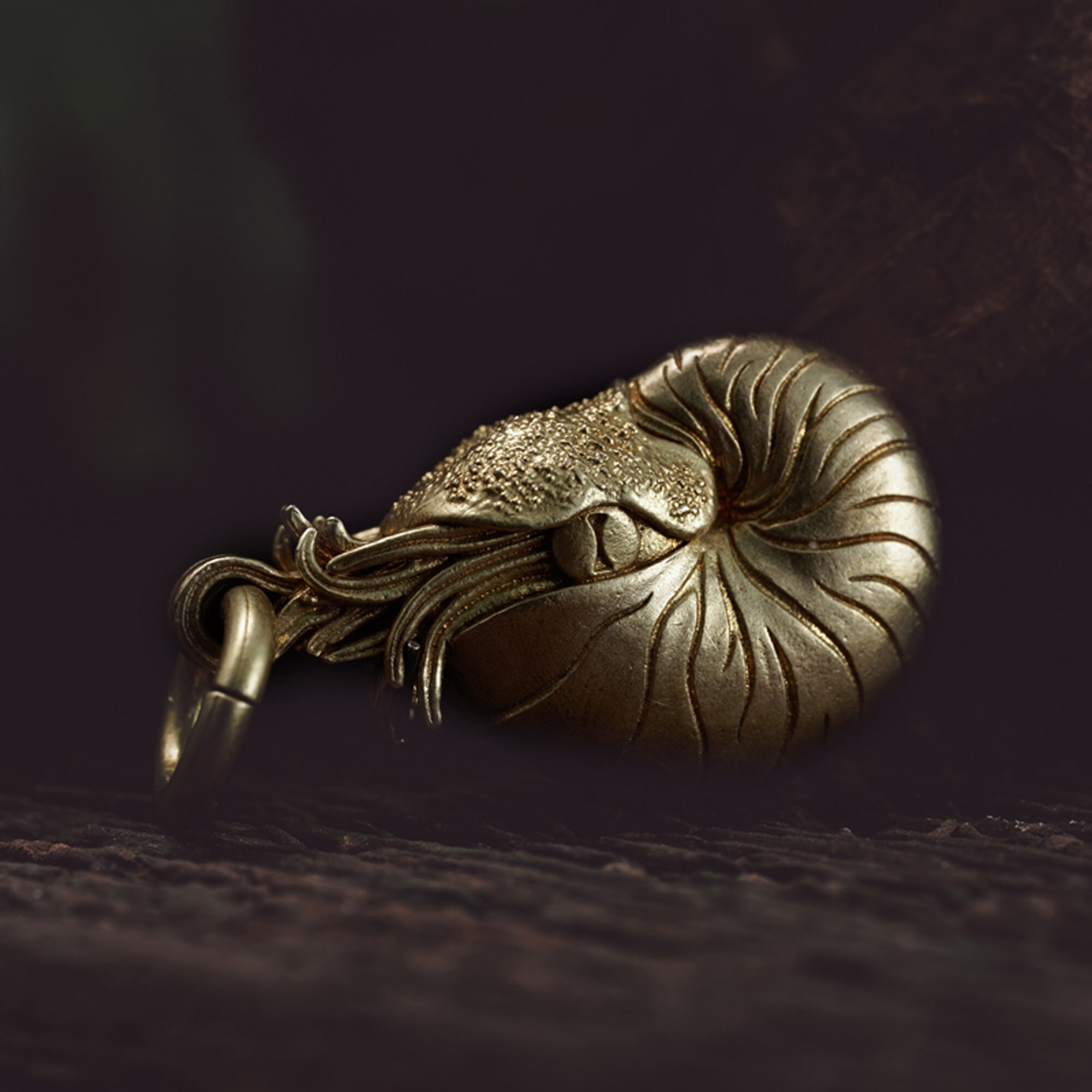 Nautilus Key Chain Solid Brass Key Ring EDC Charm Gothic and - Etsy