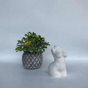 Curvy plus-size Goddess Torso Statue, Body Positive Art, Gift Idea ...