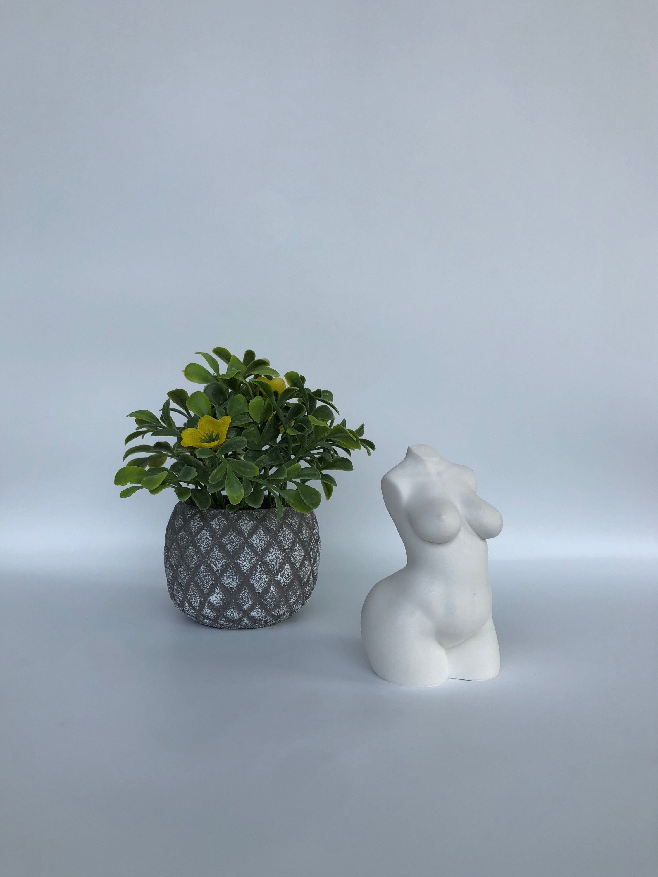 Curvy plus-size Goddess Torso Statue Nude Female Figure - Etsy