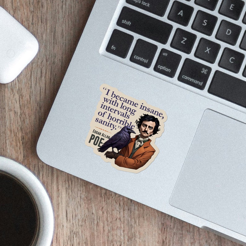 Edgar Allan Poe “insanity Quote” 3” Custom Die Cut Vinyl Sticker - Etsy