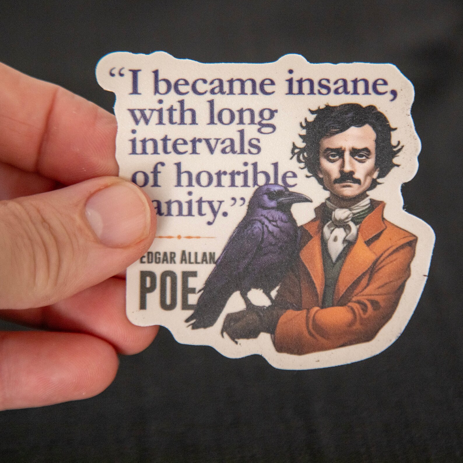 Edgar Allan Poe “insanity Quote” 3” Custom Die Cut Vinyl Sticker - Etsy