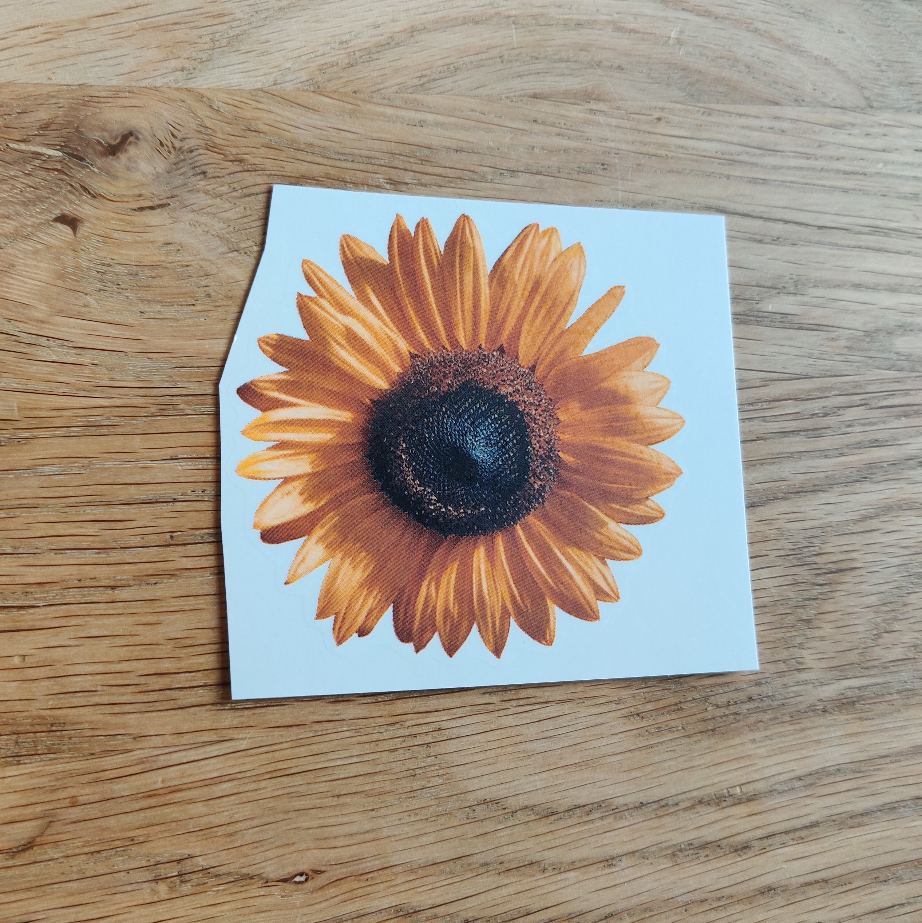 Ceramic or Glass Waterslide Decal - Individual Flowers. Green Orchid ...