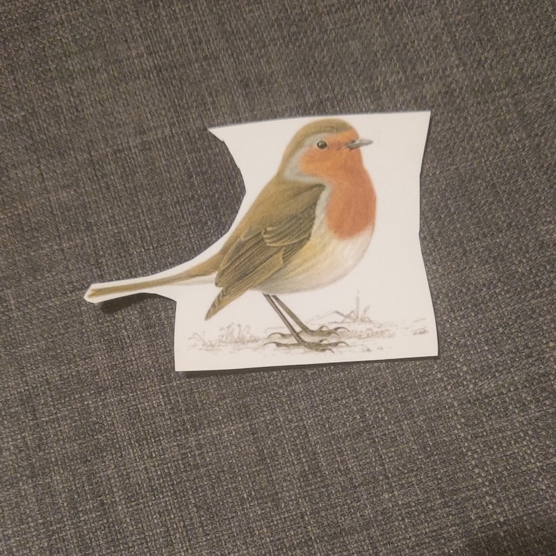 Robin Glass Decals - Etsy