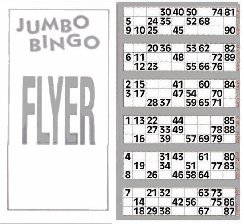 Jumbo Bingo Tickets: 600 Count, 6-to-view Pad - Etsy