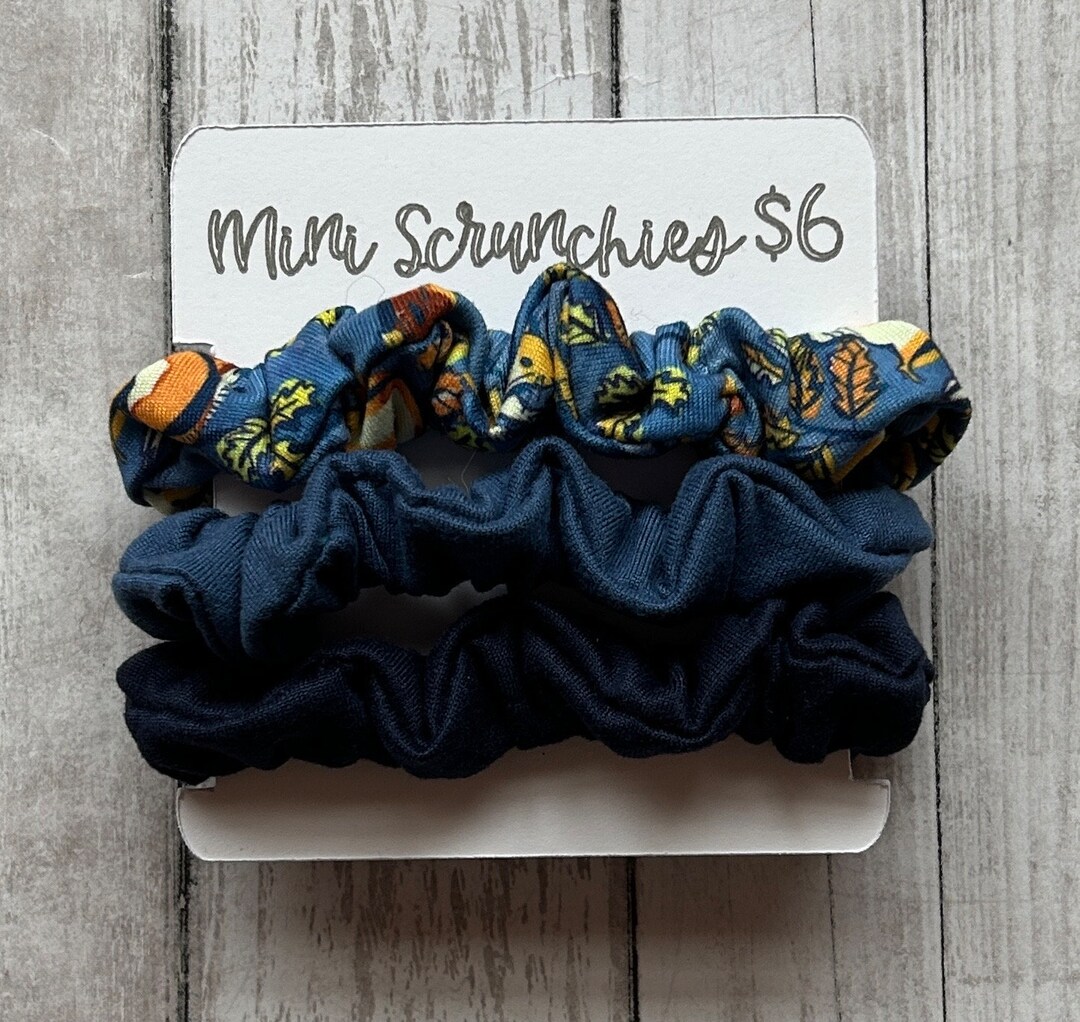 Mini Scrunchies 3 Pack, Squirrely Collection, Hair Tie, Ponytail Holder ...