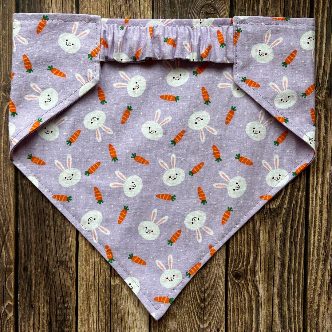 Dog Bandana, Chasing the Carrot, Elastic Pet Bandana, Scrunchie Dog Bandana, Personalized Dog ...