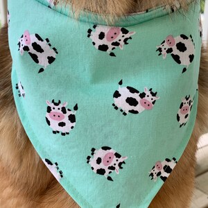 Dog Bandana, Holy Cow, Elastic Pet Bandana, Scrunchie Dog Bandana ...