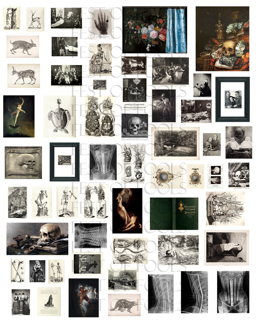 1:12th Death and Science in Victorian England - Etsy