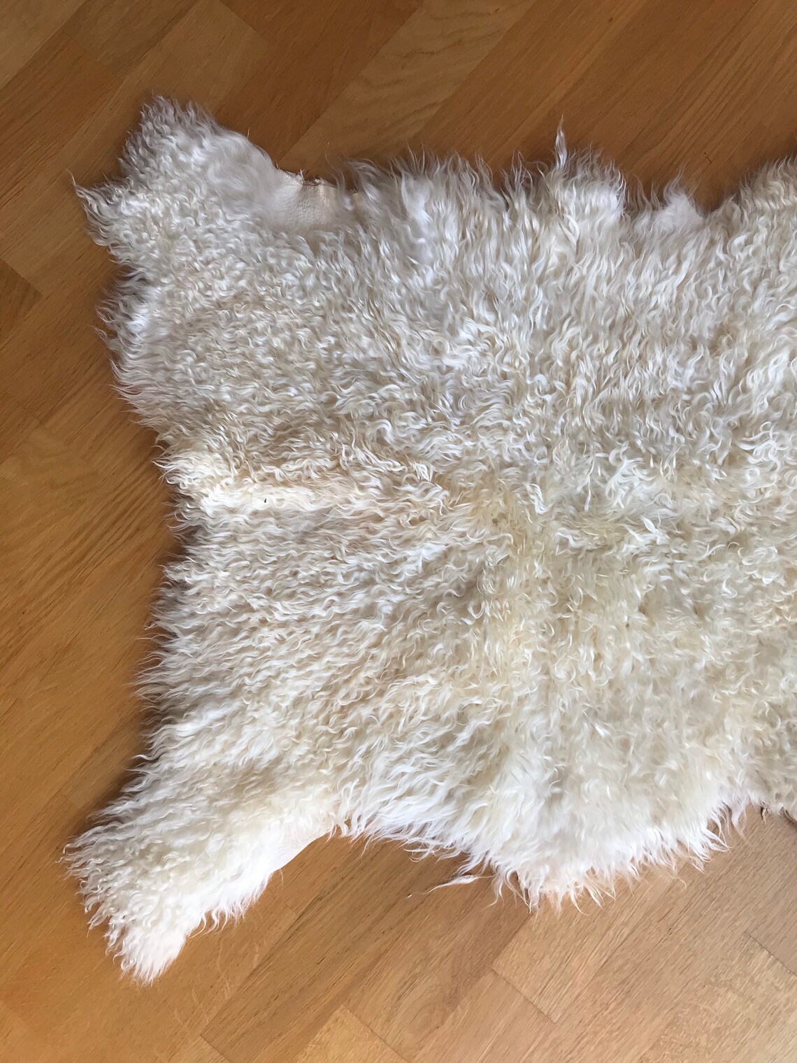 Angora Goat Pelt Mohair Goat Skin endemic Angora Silky Fur - Etsy
