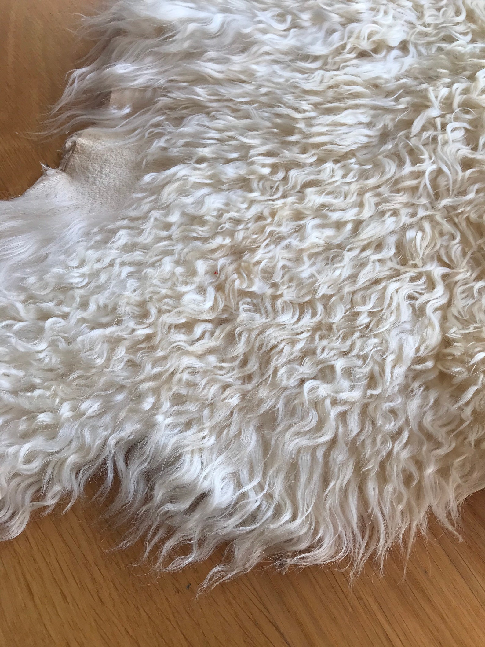 Angora Goat Pelt Mohair Goat Skin endemic Angora Silky Fur - Etsy