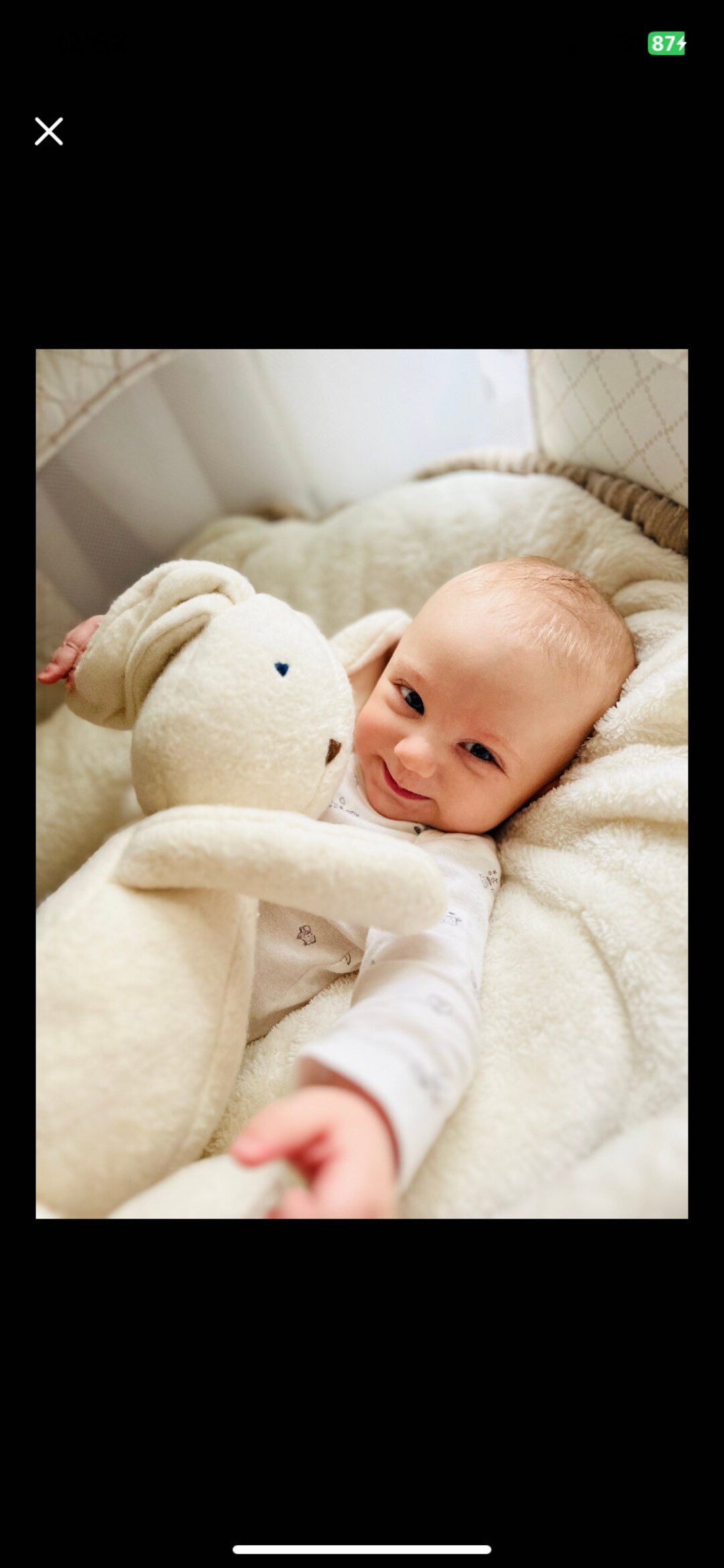 Handmade Organic Cotton Fleece Bunny Rabbit - Baby Gift for a Boy or ...