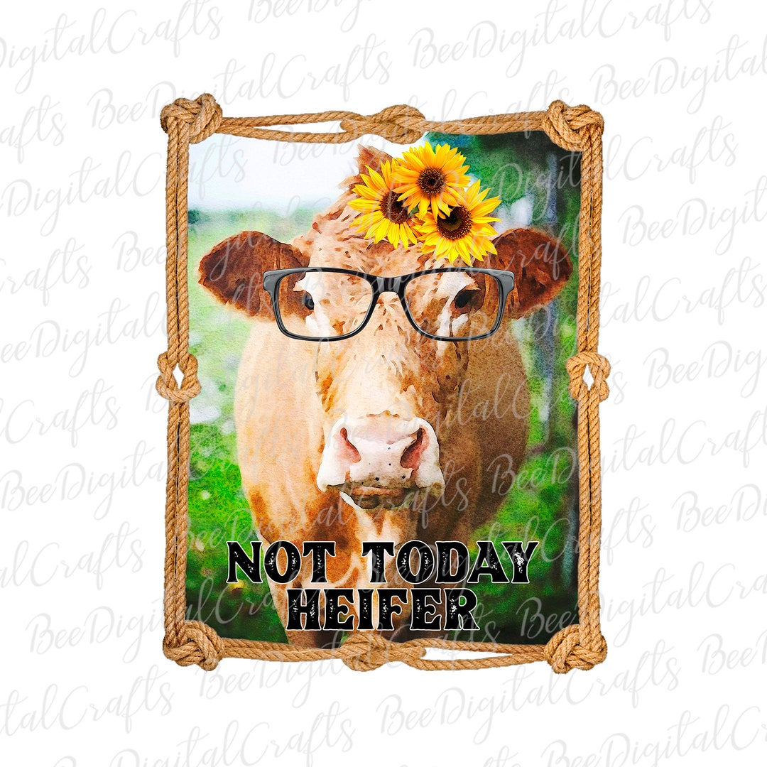 Not Today Heifer PNG Download Farm Animal Sublimation Design Cow in ...