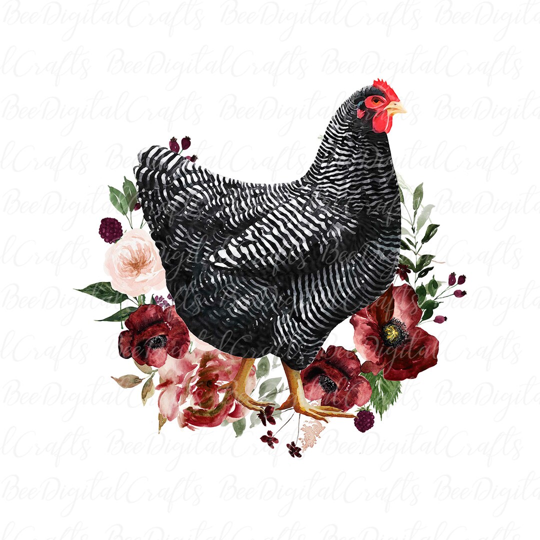 Floral Chicken Sublimation Design Watercolor Farm Animal PNG Download ...