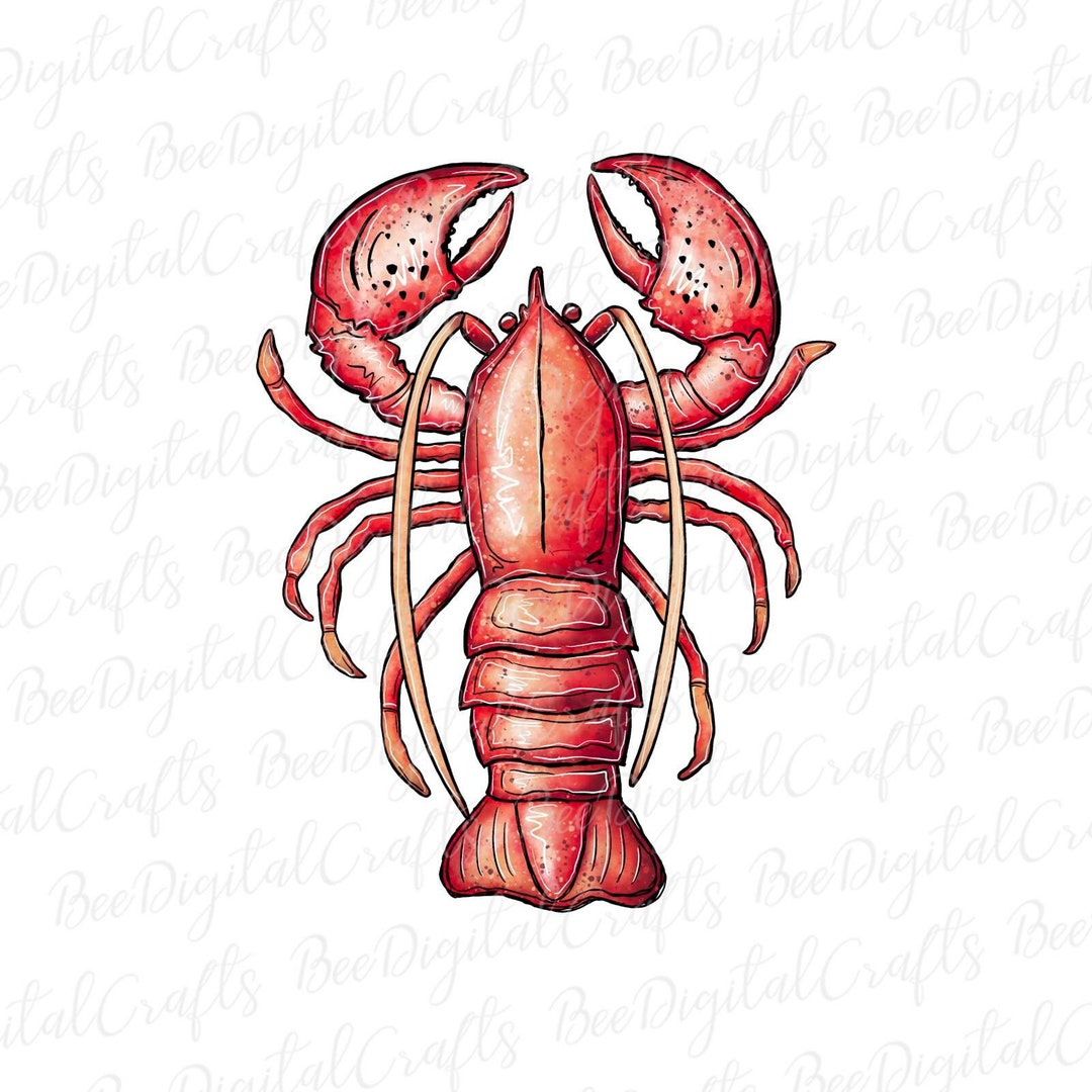 Crawfish PNG Download Mardi Gras Sublimation Design Watercolor Doodle ...
