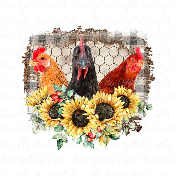 Chicken PNG Sublimation Download Farm Animal Sublimation - Etsy