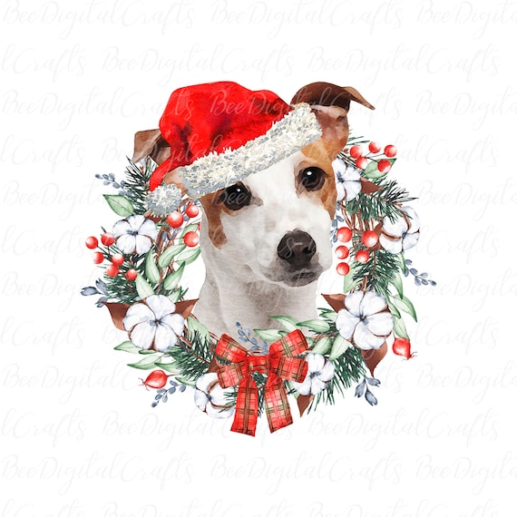 Christmas Jack Russell Terrier PNG download Watercolor dog PNG | Etsy