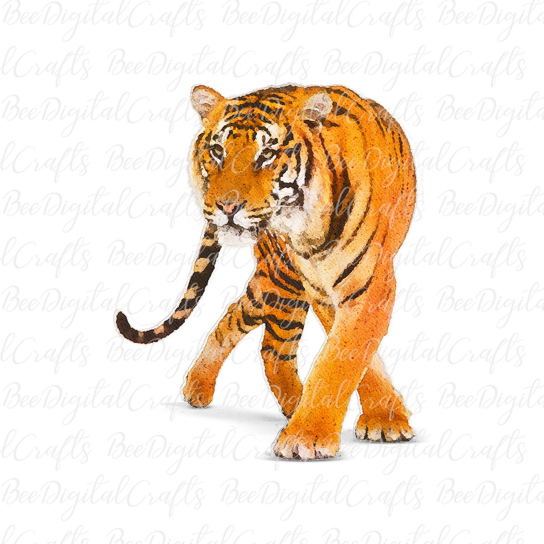 Tiger PNG Sublimation Download Wild Animal Digital PNG Design ...