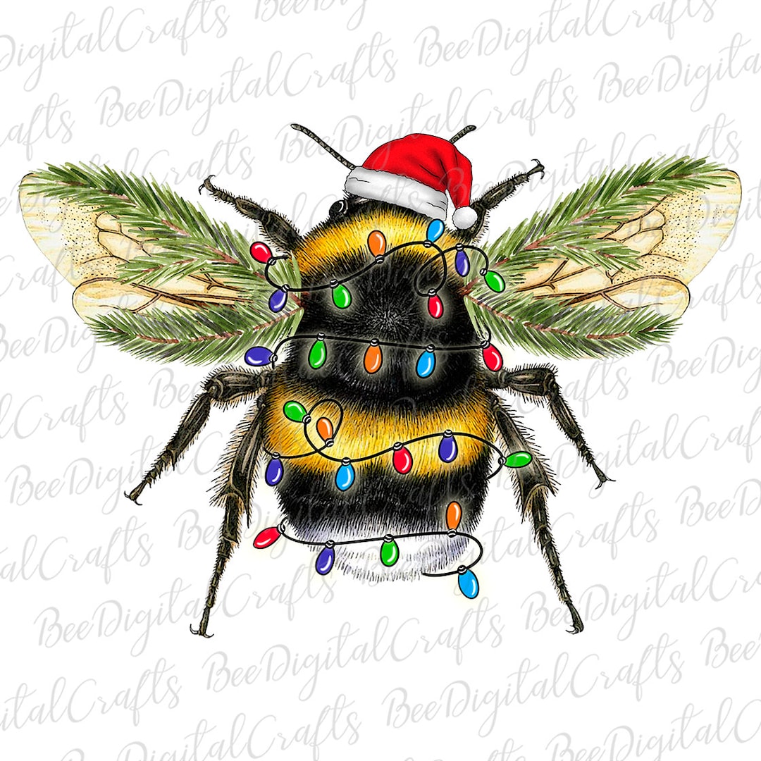 Christmas Bee With Santa Hat PNG Download Watercolor Holiday Bee ...