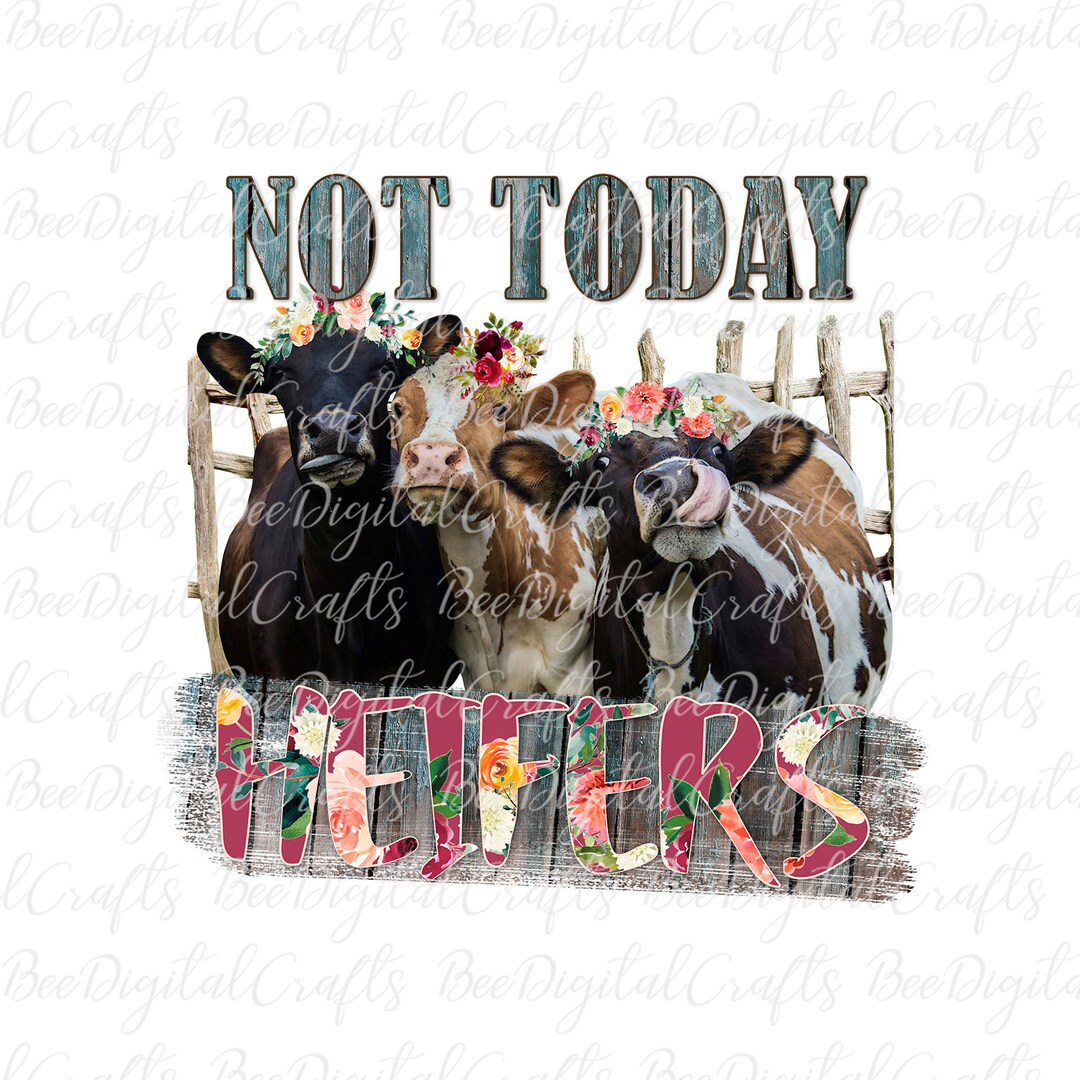 Not Today Heifers Clipart Cows Digital T-shirt Design Sublimation ...