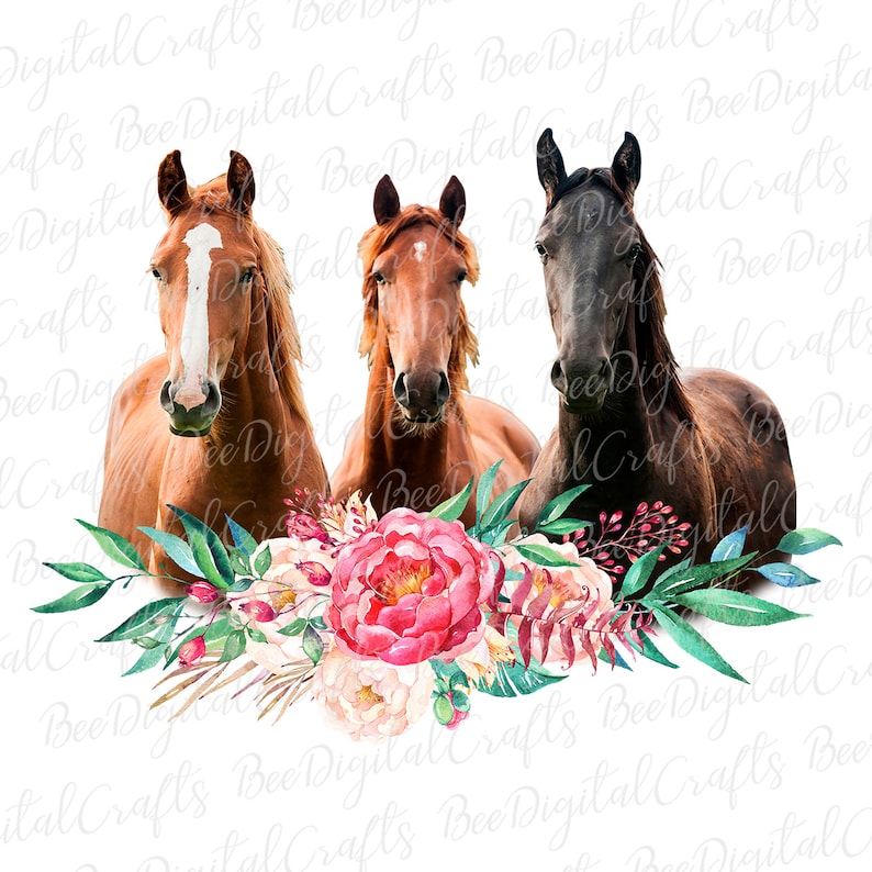 Horse With Flower PNG Download Farm Animal Sublimation Design - Etsy