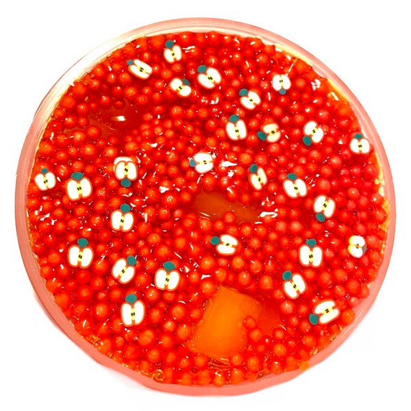 Jelly Cube Slime - Etsy