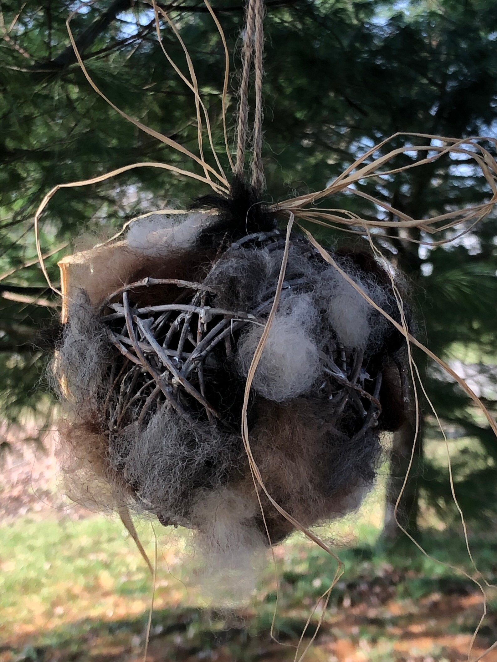 Bird Nesting Ball - Etsy