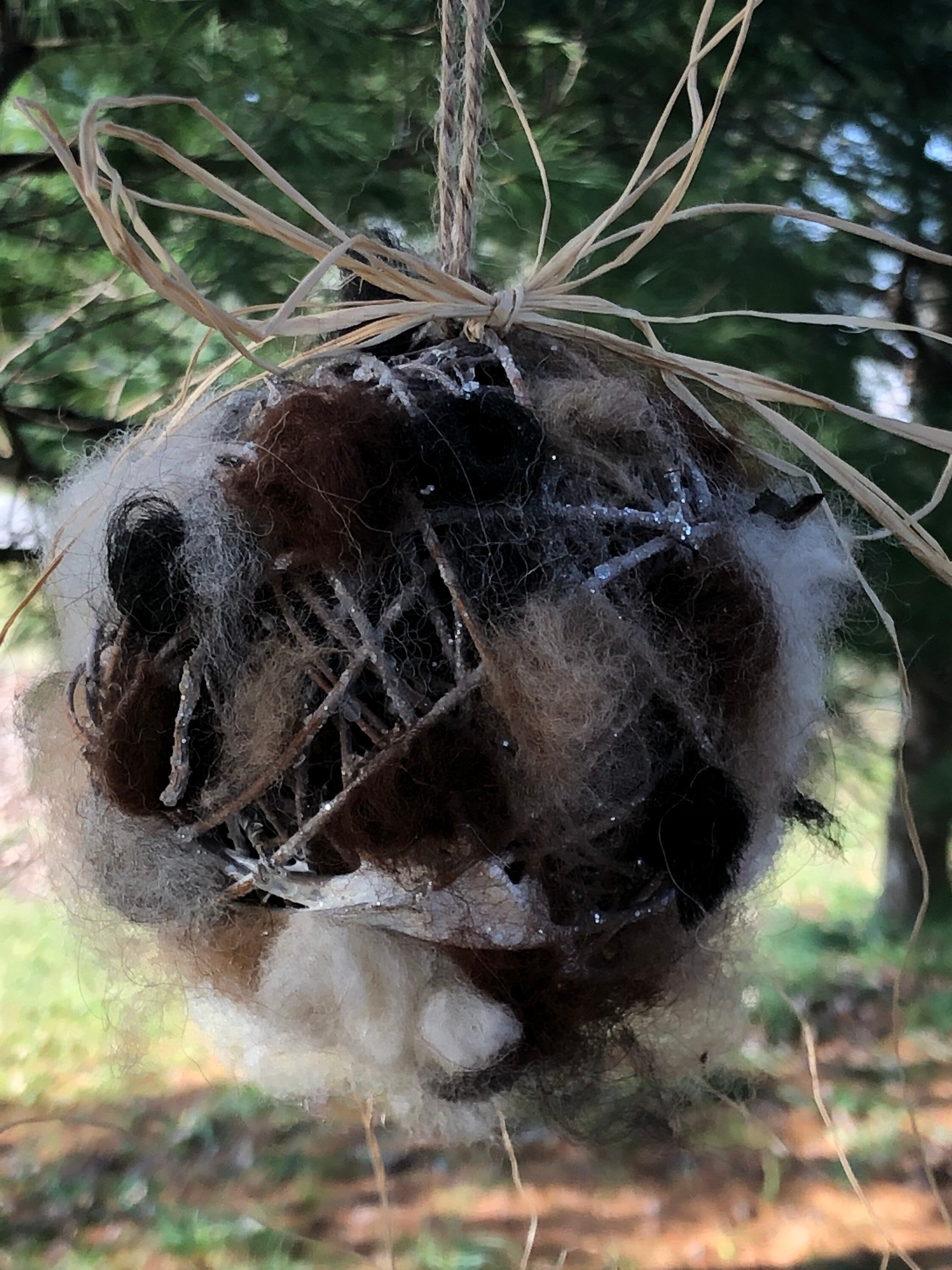 Bird Nesting Ball - Etsy