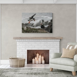Atlantic Puffin Photo Print: Newfoundland Ocean Cliff Art - Etsy