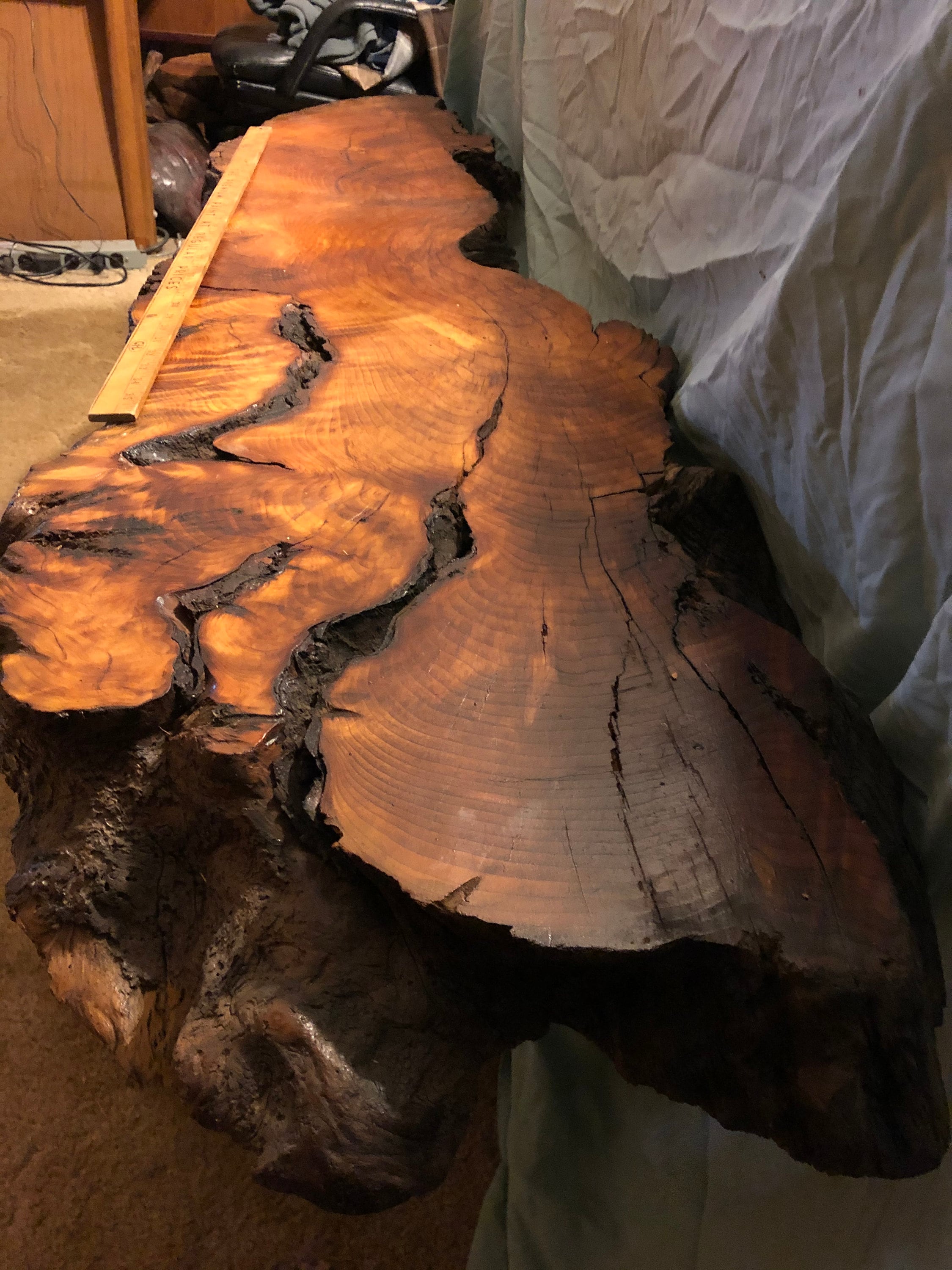 Douglas Fir Burl Bench - Etsy