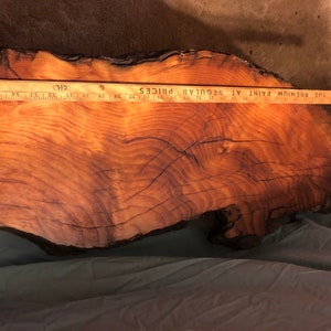 Douglas Fir Burl Bench - Etsy