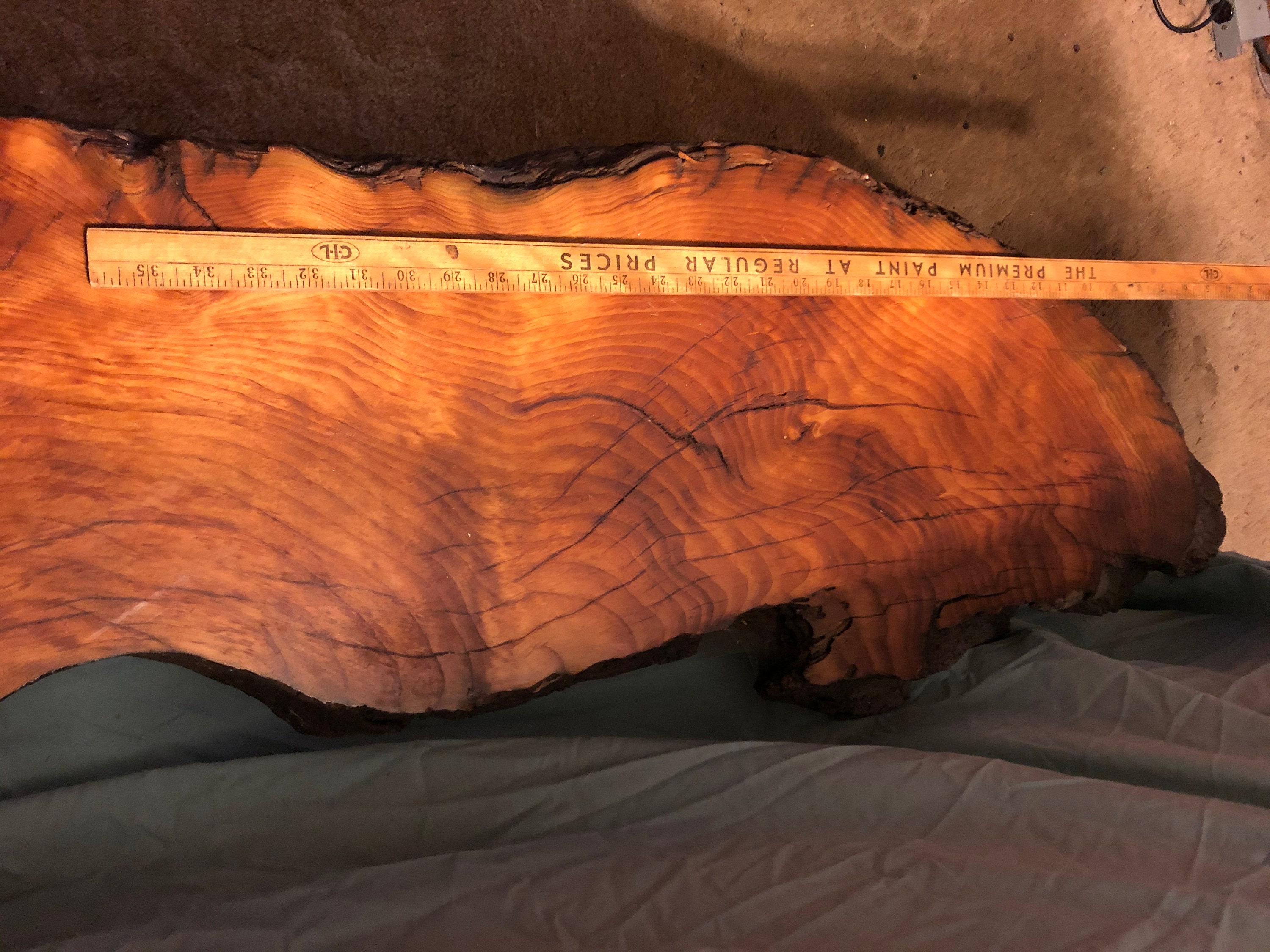 Douglas Fir Burl Bench - Etsy