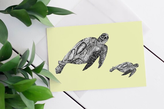 The 'Sea Turtle' 10 Card Pack | Etsy