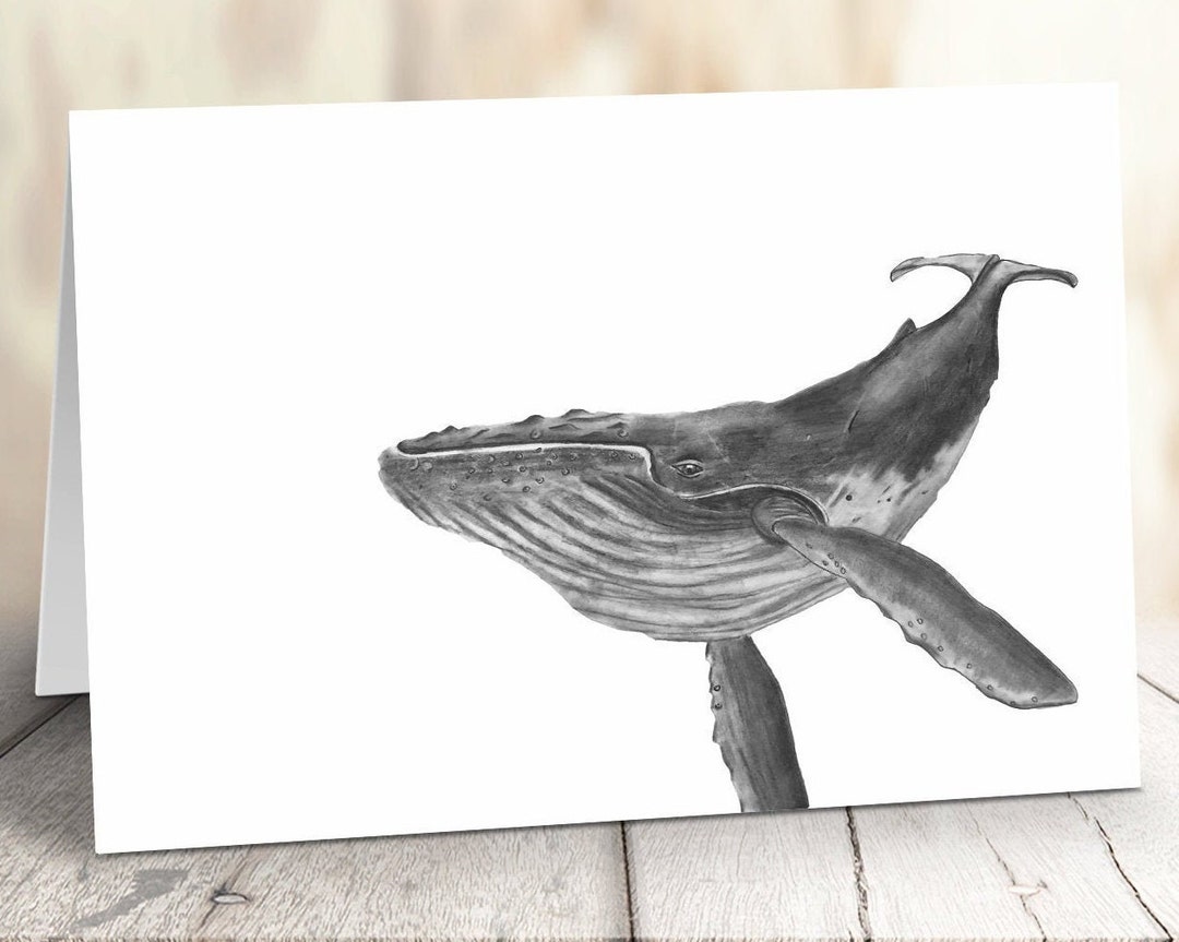 The 'whale' 10 Card Pack - Etsy