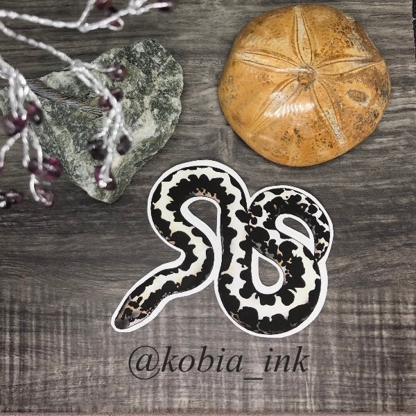 Boa Constrictor Decal - Etsy