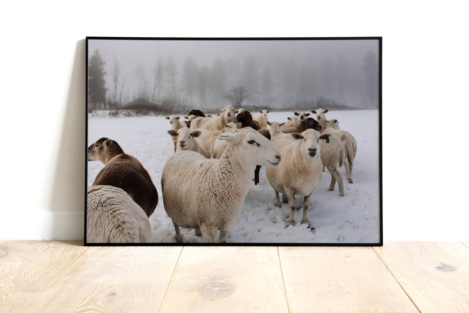 Printable Wall Art Snowy Sheep Digital Print Sheep in a Field Winter ...