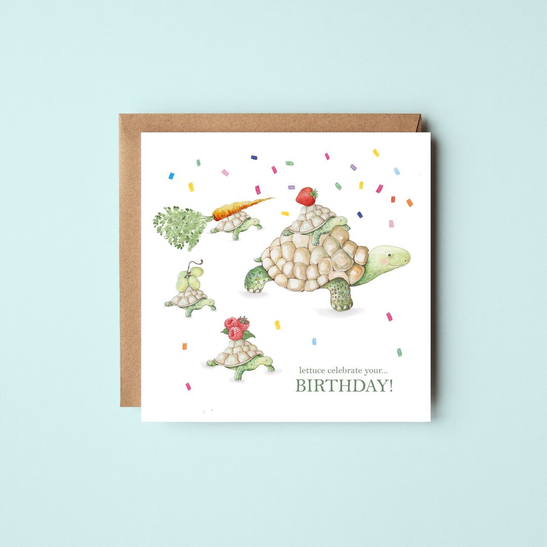Tortoise Birthday Card - Etsy