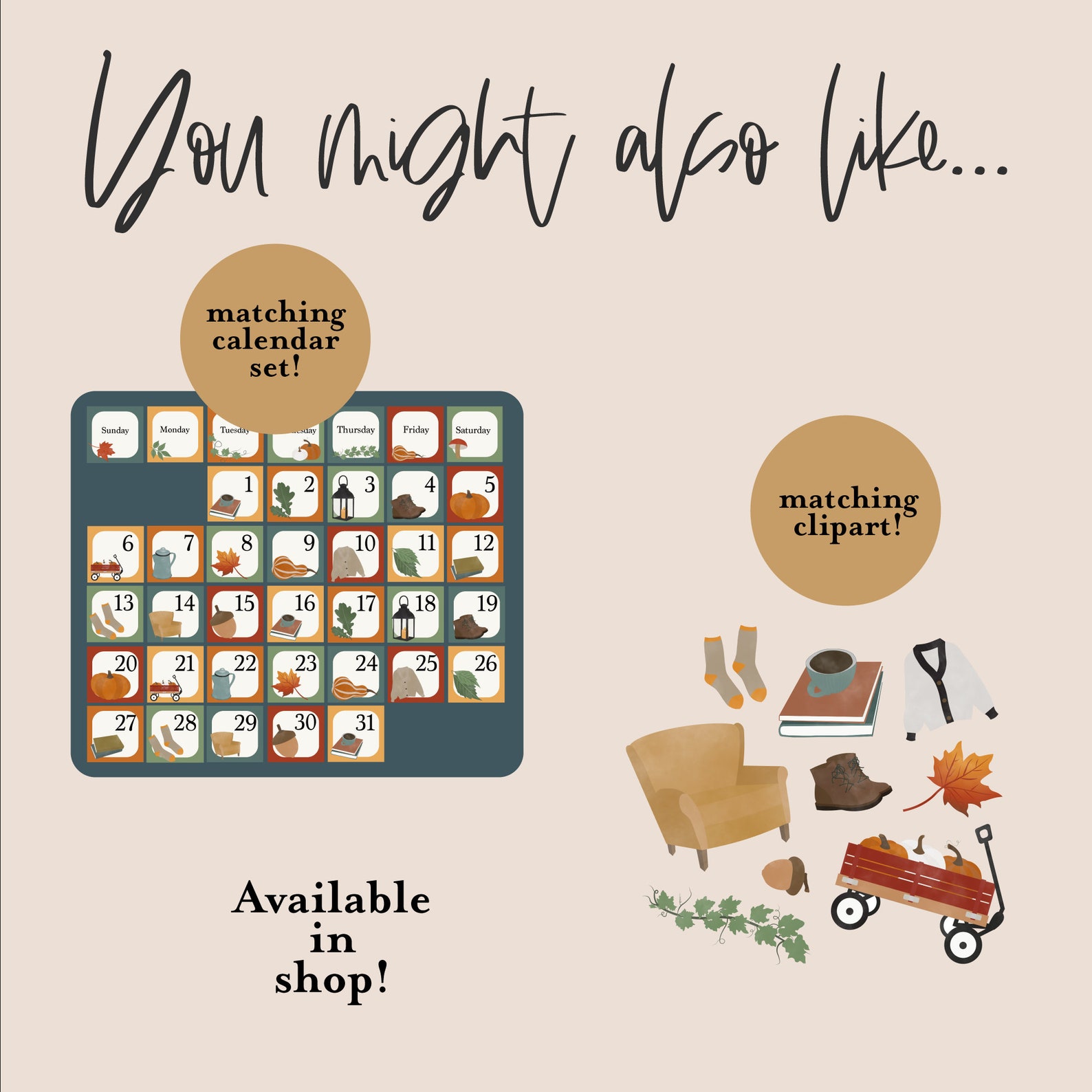 Daily Schedule Cards | Autumn Classroom Schedule | Fall Schedule ...