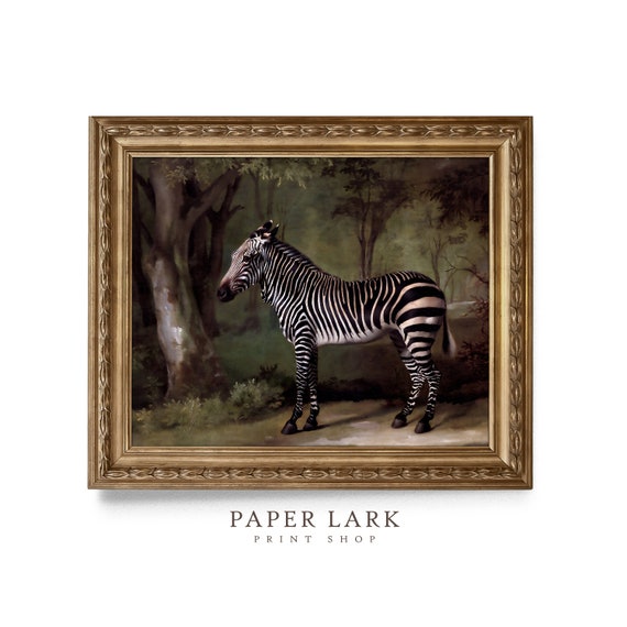 Zebra Vintage Art Digital Download Zebra Antique Painting Art - Etsy