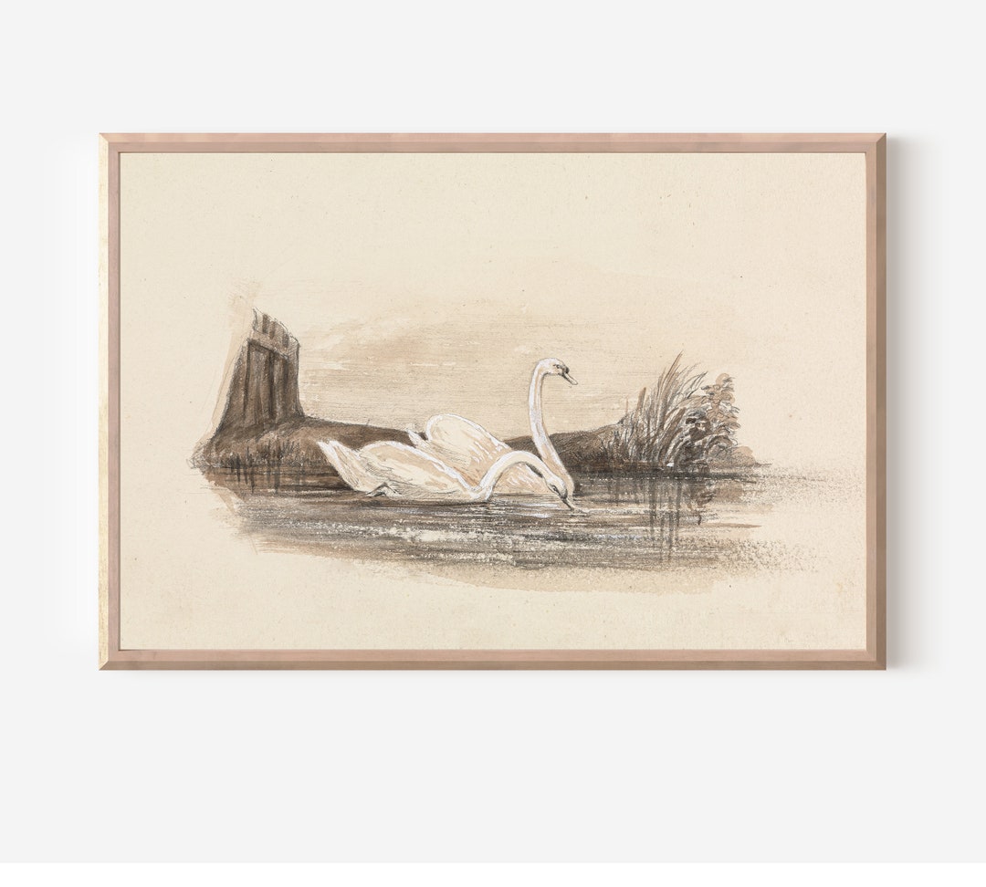 Pair of Swans Sketch Art Print | Digital Download Wall Art | Spring ...
