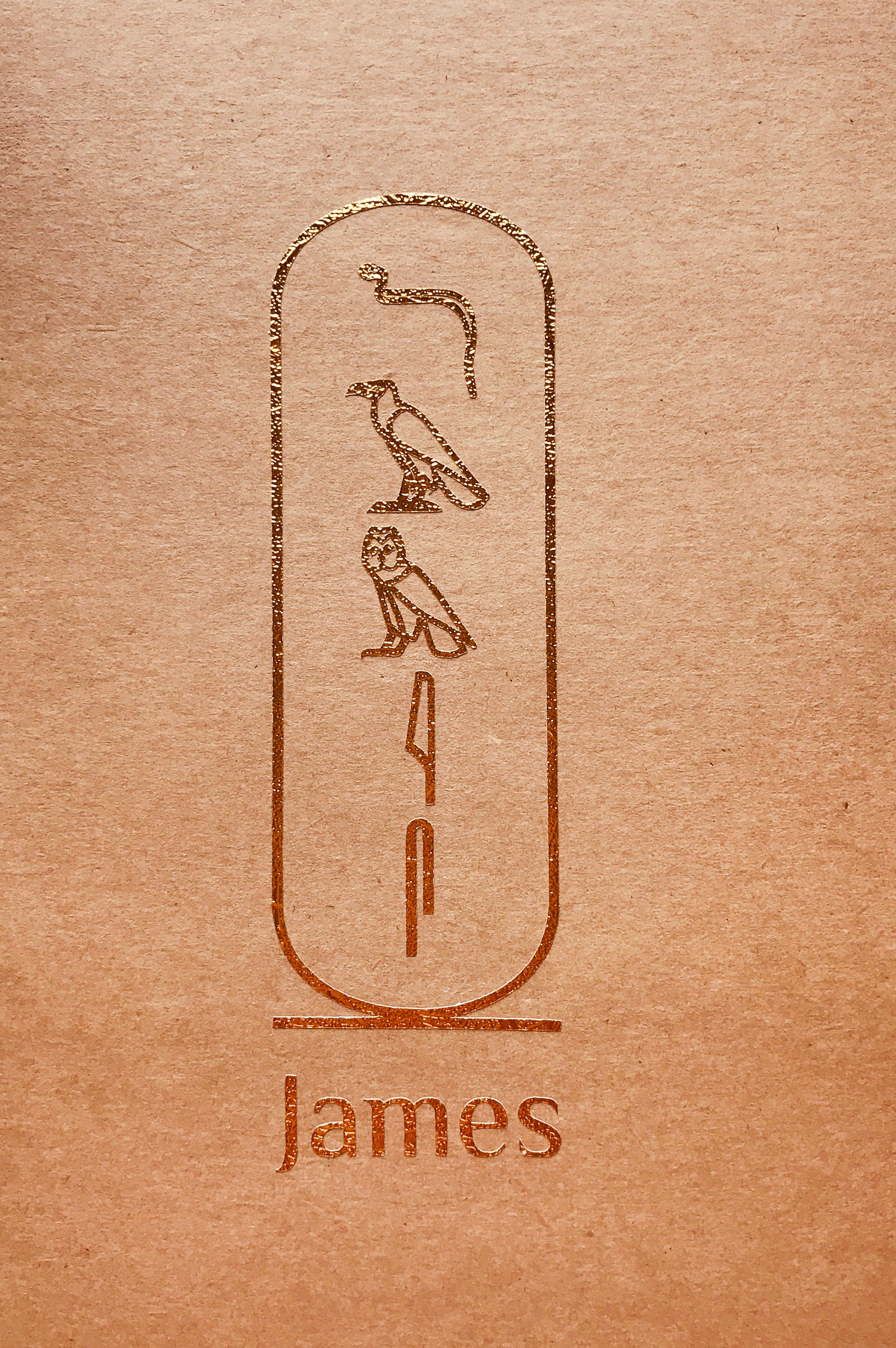 Your Name in Hieroglyphics Kraft Paper/gold A5 Without - Etsy