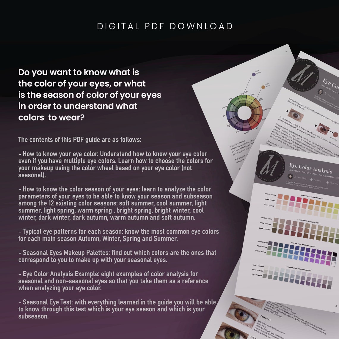 Seasonal Eye Color Analysis Guide PDF / Eye Seasonal Pattern / Eye ...