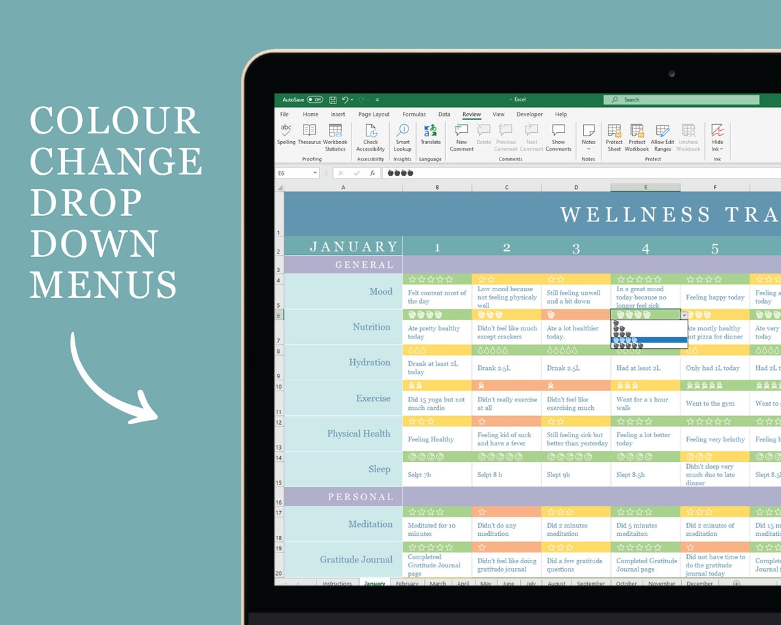 Wellness Tracker Excel Spreadsheet | Digital Download - Etsy Australia